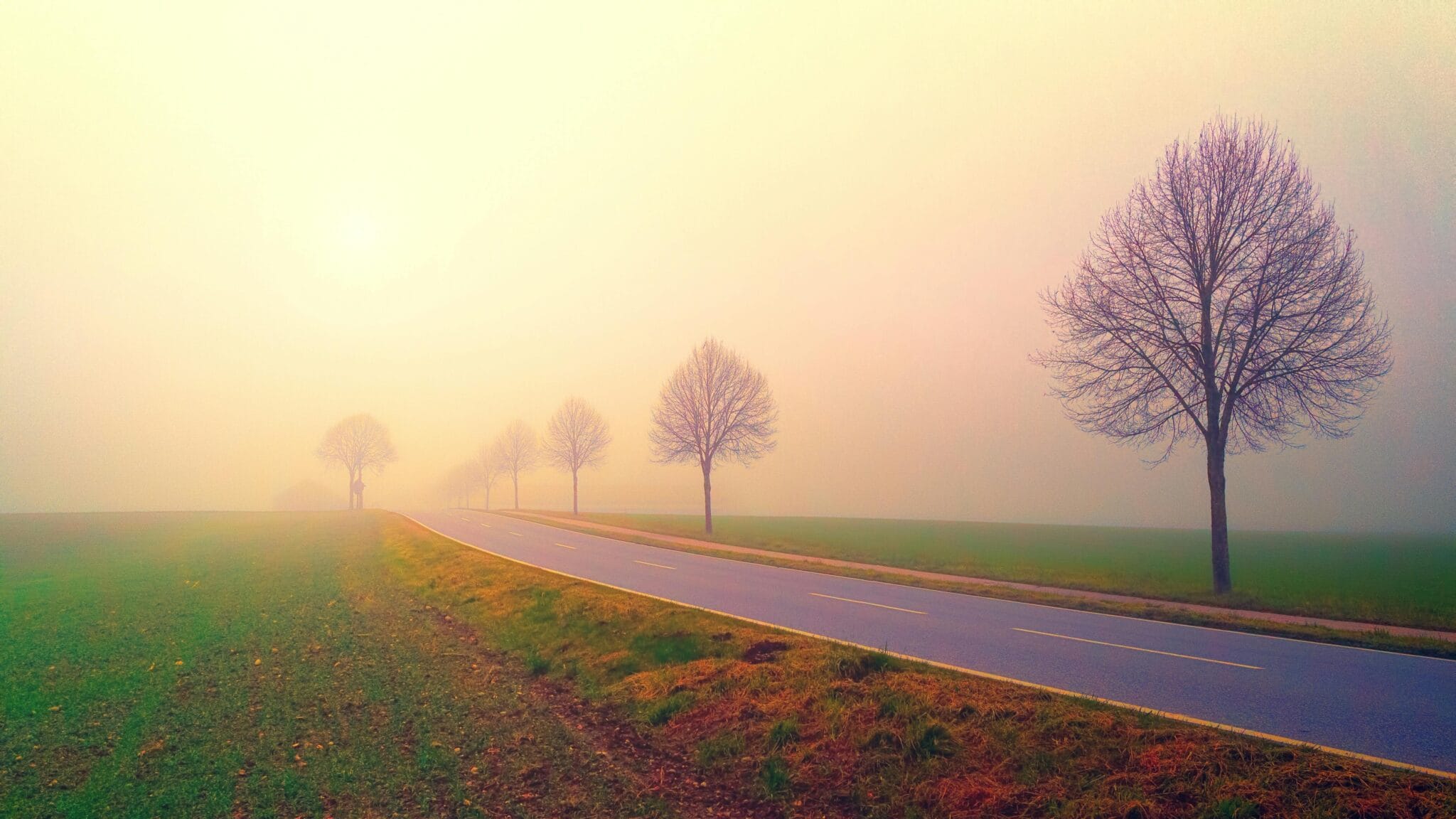 Daily Motivation: 50 Powerful Motivational Quotes To Inspire You Every ...